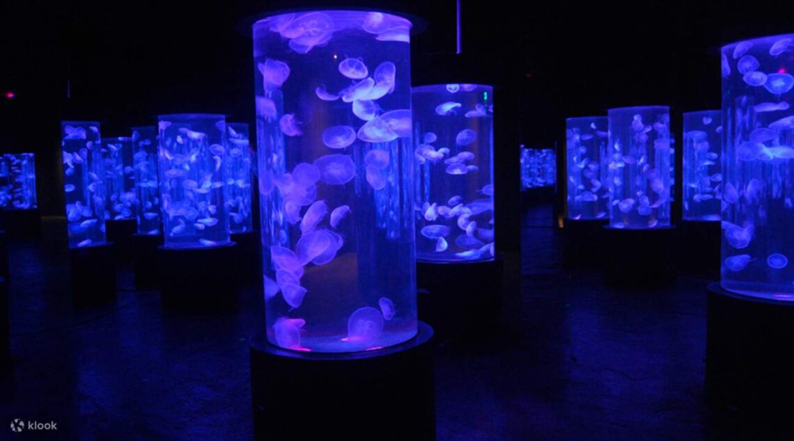 Manila Ocean Park: A Marine Wonderland in the Heart of the Capital - Luzon