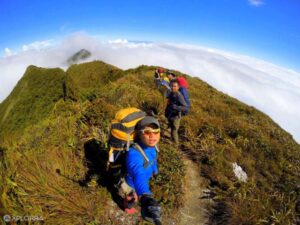 Mount Halcon - Luzon