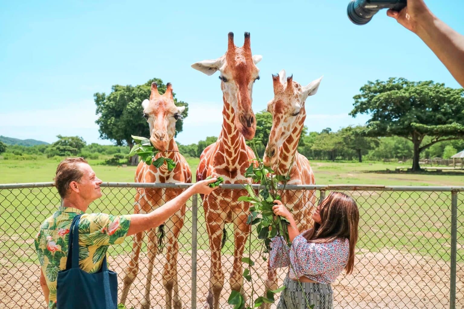 Calauit Safari Park: The Ultimate Family Adventure in Coron, Palawan ...