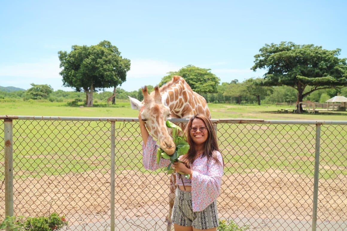 Calauit Safari Park: The Ultimate Family Adventure in Coron, Palawan ...