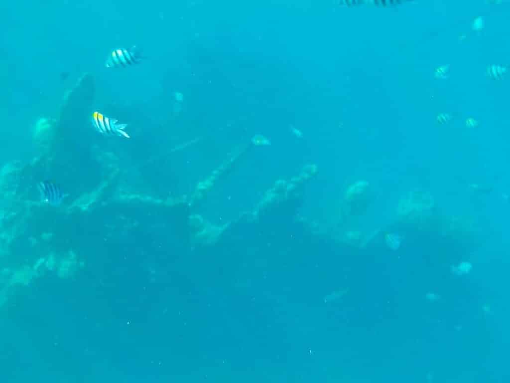 Skeleton Ship Wreck in Coron, Palawan: An Underwater Adventure of a ...