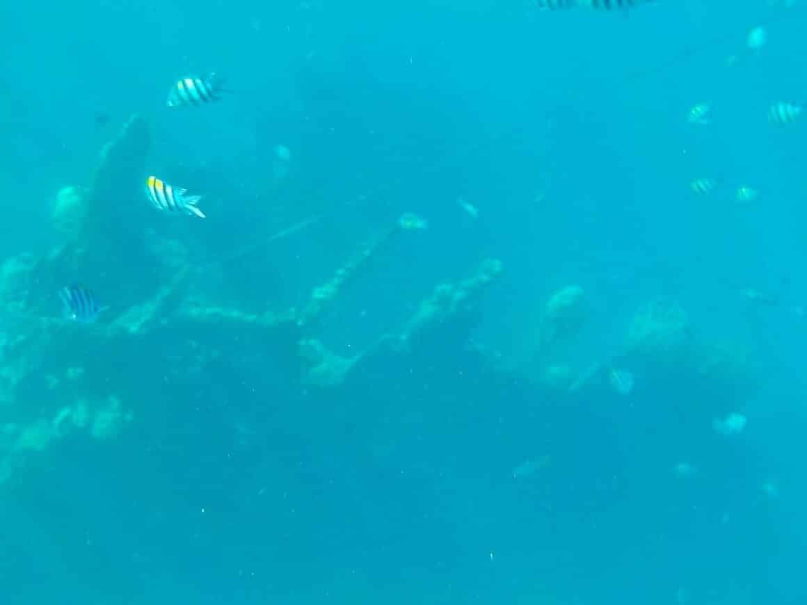 Skeleton Ship Wreck in Coron, Palawan: An Underwater Adventure of a ...