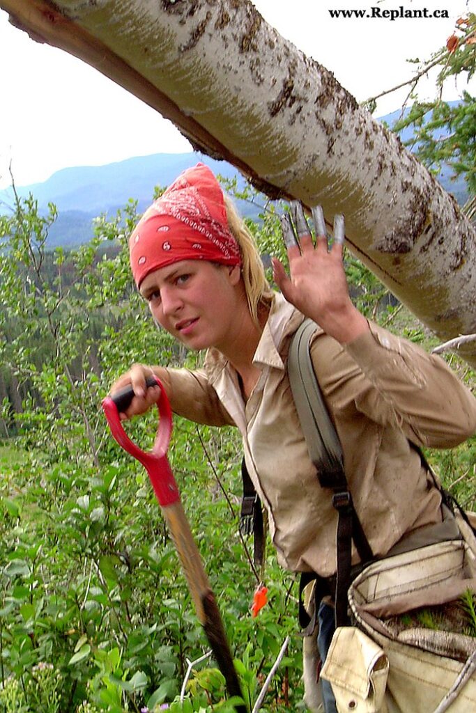 Photographs Pictures of Tree Planting 4 - Tree Planting