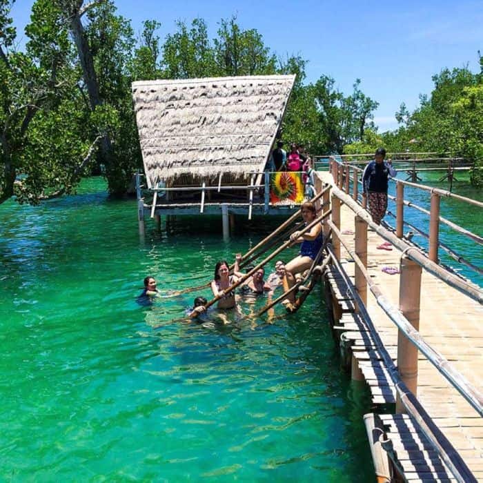 Travel Tour Packages to Suyac Island Mangrove Eco-park - Visayas