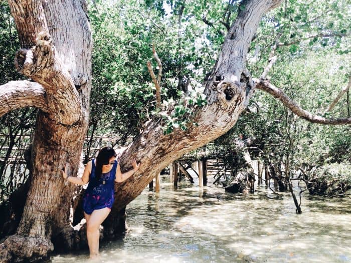 Travel Tour Packages to Suyac Island Mangrove Eco-park - Visayas