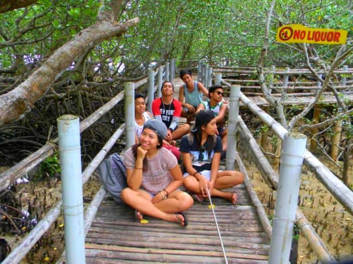 Travel Tour Packages to Suyac Island Mangrove Eco-park - Visayas