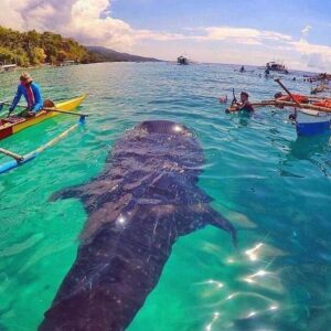 Travel Tour Packages to Carbin Reef, Sagay Marine Reserve - Visayas